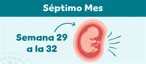 Mes 7 De Embarazo Síntomas Y Qué Sucede Con El Feto Pampers® Latam