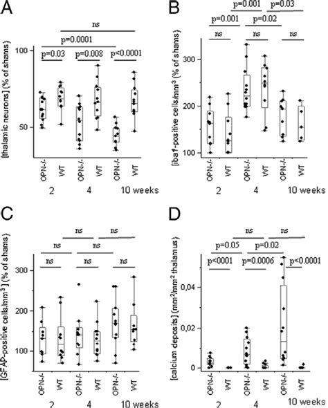 Progressive Secondary Neurodegeneration And Microcalcification Co Occur