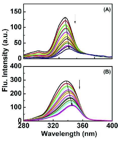 Synchronous fluorescence spectra of hemoglobin in the presence of ...