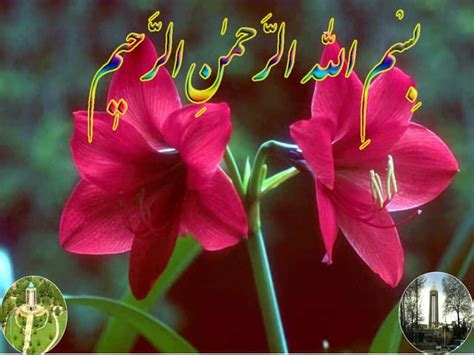 Disk Diffusionpptx For Med Studen For Meds Pptx