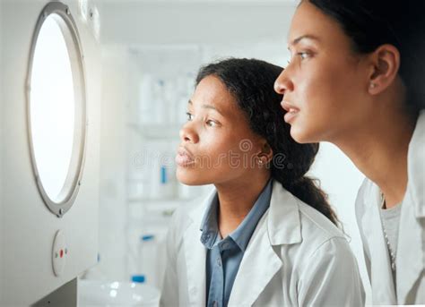 Results Women Or Scientists In Laboratory Waiting For Science