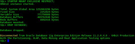 Migration Oracle Asm To File System Different Host Azizpws Blog