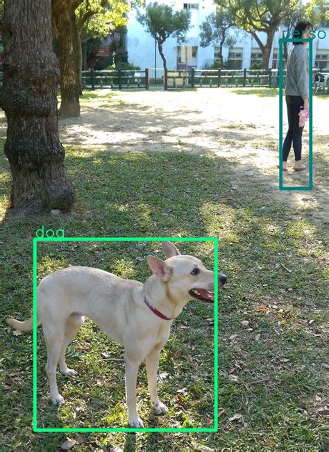 Run Object Detection Using Deep Learning On Raspberry Pi 3 Ii Rdeeplearning