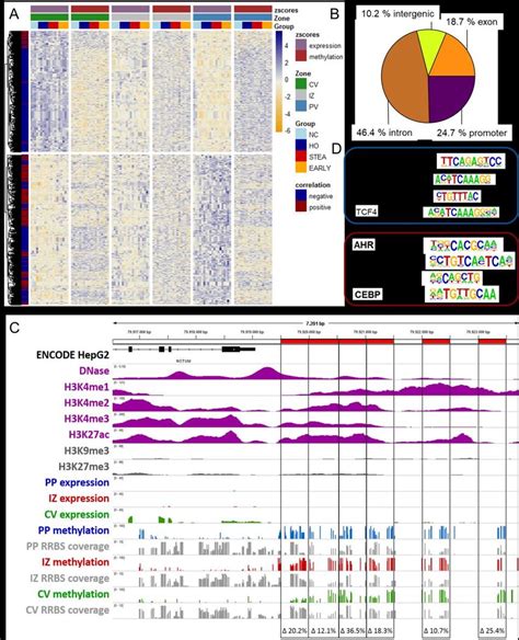 Integration Of Gene Expression And Dna Methylation Profiles Across Download Scientific Diagram