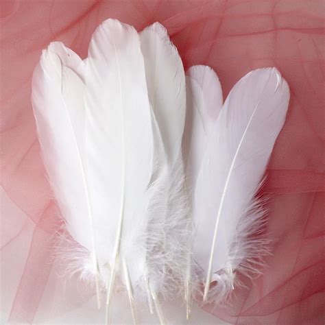 50pcs Natural Goose Feathers Plumes 15 20cm White Feather Plume For