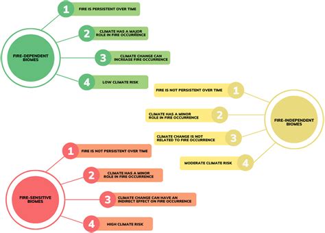 Were Building It Up To Burn It Down Fire Occurrence And Fire Related Climatic Patterns In
