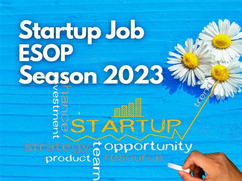 Whats A Fair Deal What Amount Of Esop Should You Ask For