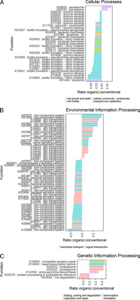 Differentially Abundant Functions Phylogeny Based Trait Prediction