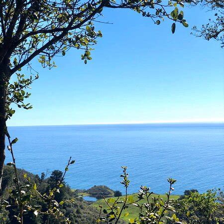 Nepenthe Big Sur Menu Prices And Restaurant Reviews Tripadvisor