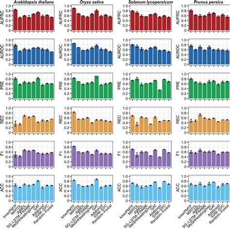 Improving Plant Mirna Target Prediction With Self Supervised K Mer