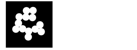 Bwmorph Image Processing Toolbox