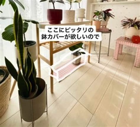 【小さな建売diy】冬対策も万全！観葉植物用〈棚下スペース〉→ナチュラルで温かみのある〈おしゃれな鉢カバー〉で大変身 「す、すごい」「作ってみたい」の声 Limo くらしとお金の経済メディア