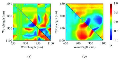 The Spectral Correlation After A Orthogonal Spatial Projection Download Scientific Diagram
