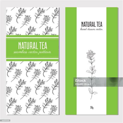 낙서 화장품 차 및 다른 디자인 패키지에 대 한 완벽 한 패턴 벡터 벡터 카드 손으로 그린 백 리 향 분기와 배너 잎 꽃에 고립