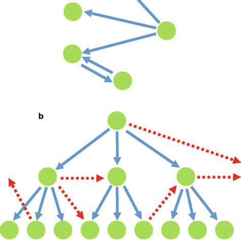 the overview of the simulation expression dataset the simulation