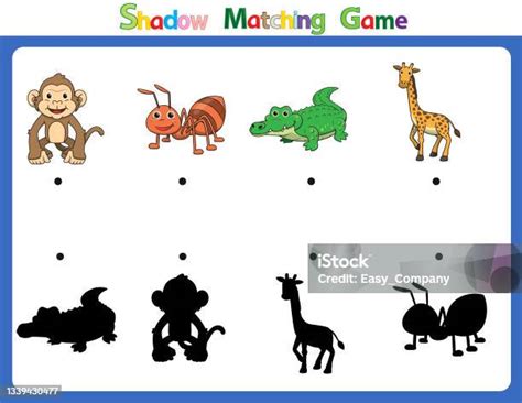 다른 모양의 그림자를 학습하기위한 벡터 그림입니다 어린이 마녀 4 만화 이미지 원숭이 개미 악어 기린 크로커다일에 대한 스톡