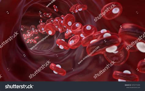 Conceptual Illustration Red Blood Cells Erythrocytes Stock Illustration