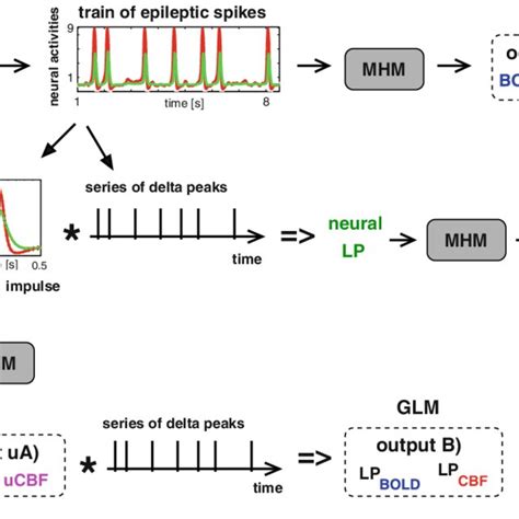 Schematic Representation Of The Coupling Between The Neural Mass Model
