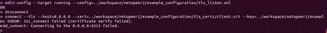 TLS Certificate Verify Failed Issue Sysrepo Sysrepo GitHub