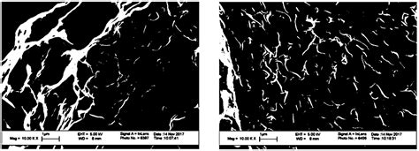 Starch Acrylate Pullulan Semi Interpenetrating Network Polymer And