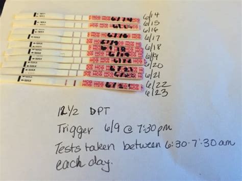 Testing Out Trigger BabyCenter