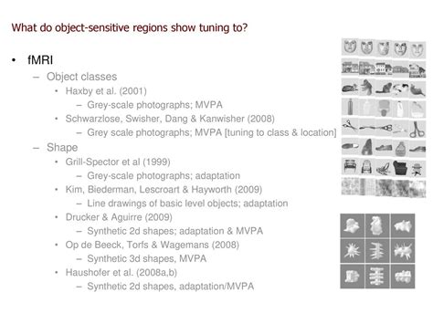 What Do Object Sensitive Regions Show Tuning To Ppt Download