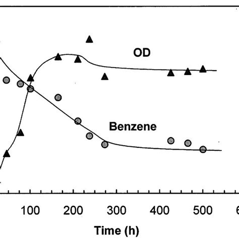 Kinetics Of Benzene Biodegradation By The Coculture Of P Putida And P