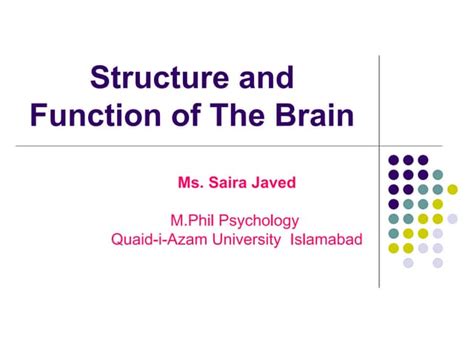 Neurological Basis Of Behavior Structure Of Brain And Functions Ppt