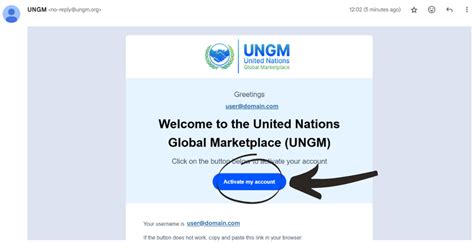 How To Create An Implementing Partner Account On Ungm Ungm Help Center