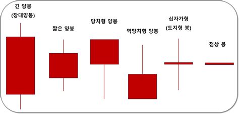 주식 차트 분석 기초
