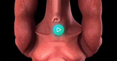 Welcome To Late Night Imgur On Imgur Welcome To Late Night Imgur On Imgur