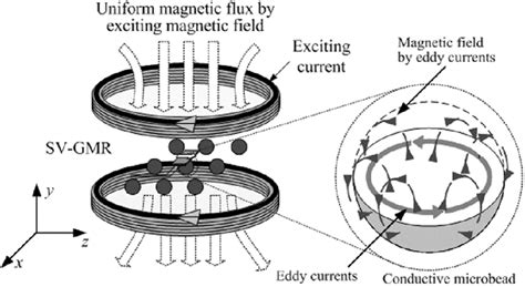 Magnetic Field Distribution On ECT Probe And Conductive Microbead Download Scientific Diagram