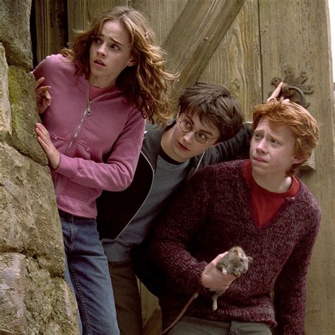 해리포터 3인방 개봉 20주년 앞두고 재결합 [엑s 할리우드] 나무뉴스