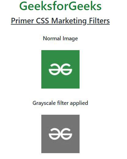 Primer CSS Marketing Filters - GeeksforGeeks