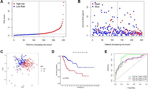Prognostic Value Of The Risk Patterns Of The Signature In The Tcga