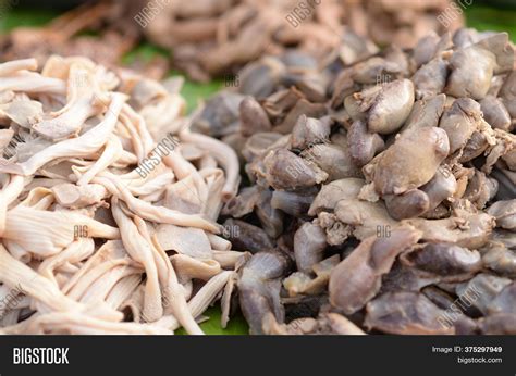 Chicken Entrails On Image And Photo Free Trial Bigstock