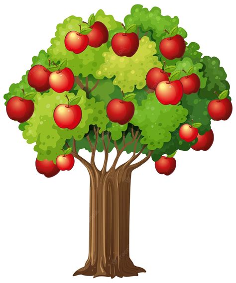 Apple Tree Royalty Free Illustration Apple Tree Tree Clipart Tree Clip Art Library