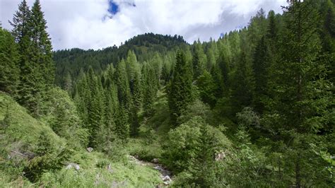 LA PIAVE | ITINERARI NATURALISTICI