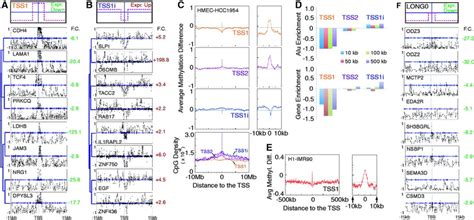 Analysis Of Patterns Overlapping The TSS A B Top Panel Is A Cartoon Download Scientific