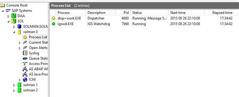 sapmmc disp work exe is yellow sap community