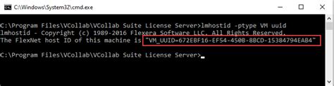 License Configuration On Virtual Machine With Dynamic Host ID Physical Address VCollab
