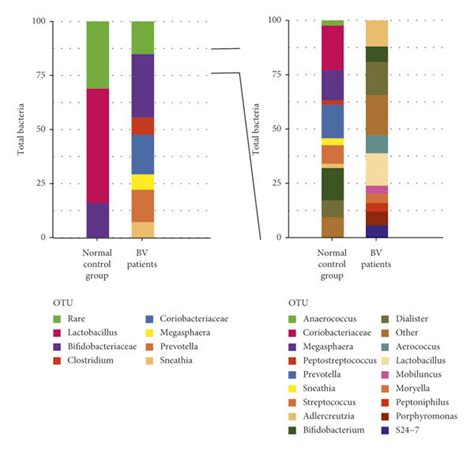 16s Rrna Sequencing Analysis And Taxonomy Classification Of The Vaginal Download Scientific