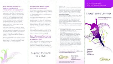 Pdf Surgical Scaffold For Soft Tissue Reinforcement€¦ · Tissue Ingrowth With The Resulting