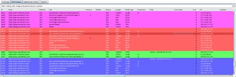 Issue Experian API Leak Breaches At DigitalOcean And Geico Burp Plugins VAPI Lab API