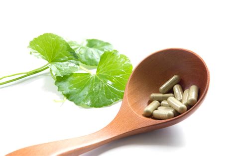 Hpmc Capsules Shanghai Guang De Li Capsule Coltd Ingredients Network