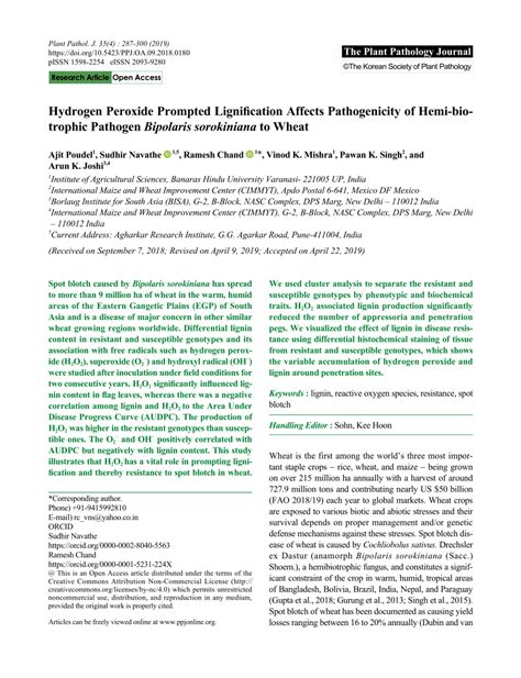 Pdf Hydrogen Peroxide Prompted Lignification Affects Pathogenicity Of Hemi Biotrophic Pathogen