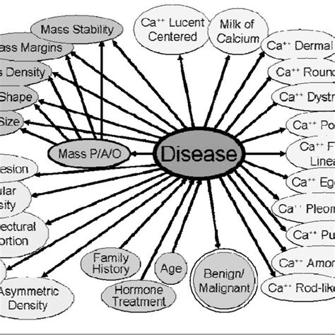 2 Bayesian Network Model Of Mammography Diagnosis Download Scientific Diagram