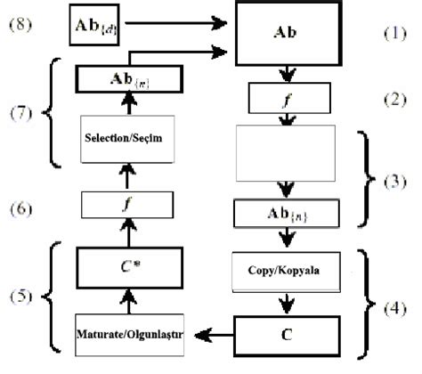 Clonal selection algorithm for the optimization problems Şekil Download Scientific Diagram