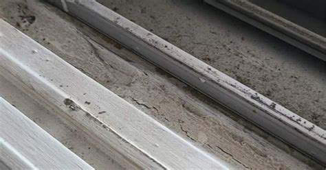 전날에 미리 전화해서 사전에 필요한것들 말씀해주시고 청소 전 청소 후 사진을 빠르게 보내주셔서 신뢰가 갑니다 😊 매우 깨끗하게 잘 되어 있어서 좋아요 ㅎㅎ 감사합니다