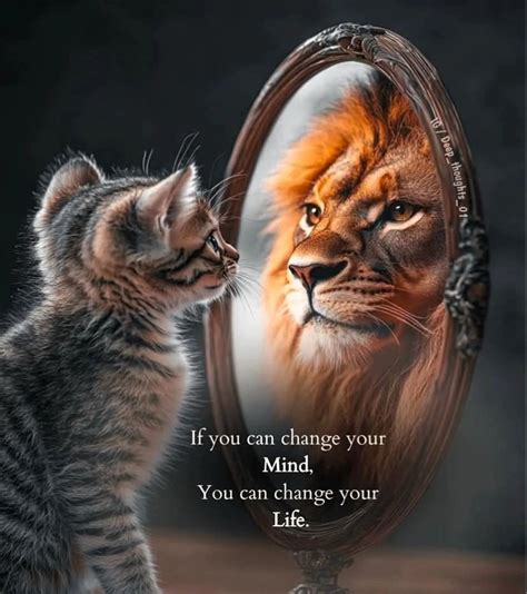 Motivation Inspiration Linkedin Feed Letsconnect Ritu Singla